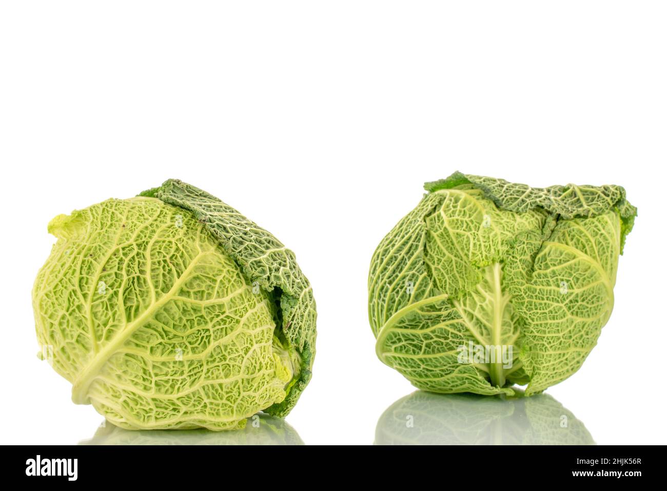 Two bales of organic Savoy cabbage , macro, isolated on white Stock ...