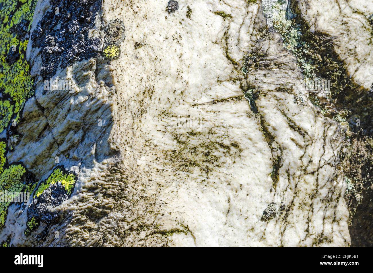 White stone surface background hi-res stock photography and images - Alamy