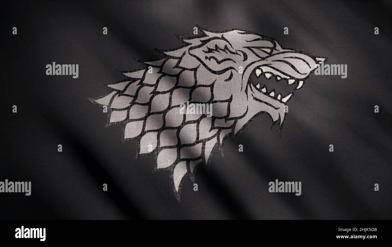 Abstract developing fabric of flag. Animation. Image of gray wolf with ...