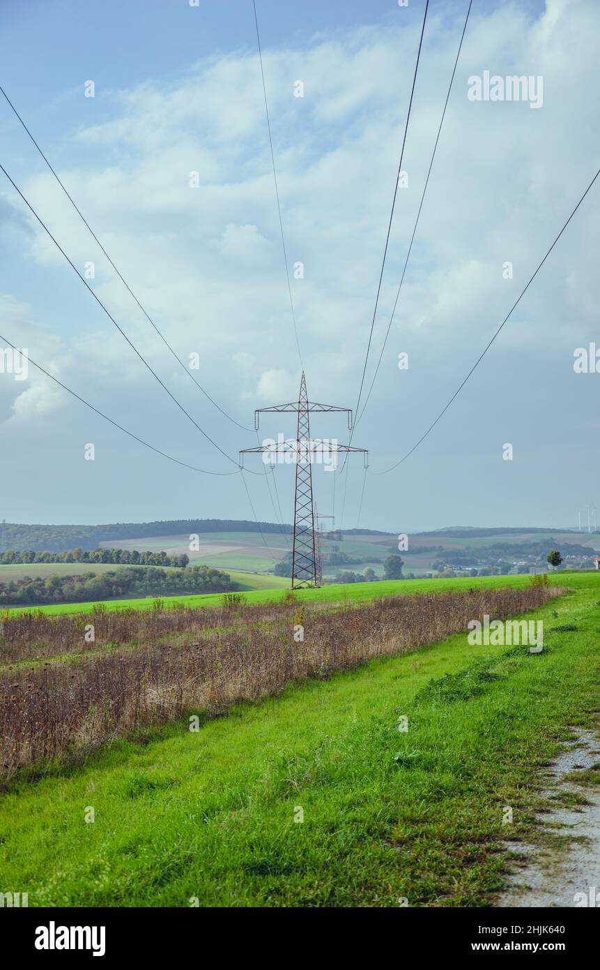 Wild wood Feld texture aged in Germany Stock Photo - Alamy