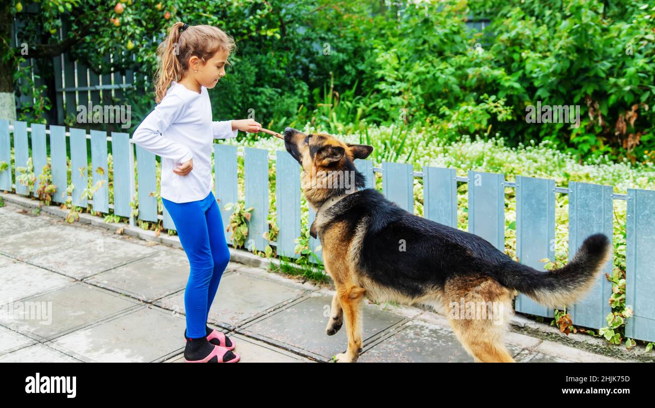 The child gives the dog a hand. Selective focus.animal Stock Photo - Alamy