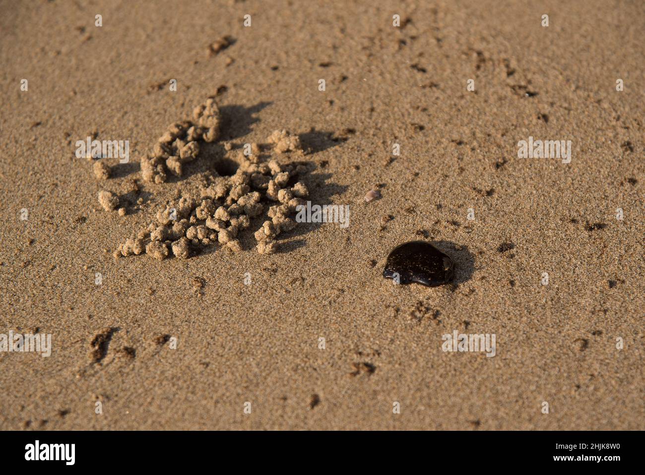 Sludge pipeline hi-res stock photography and images - Alamy