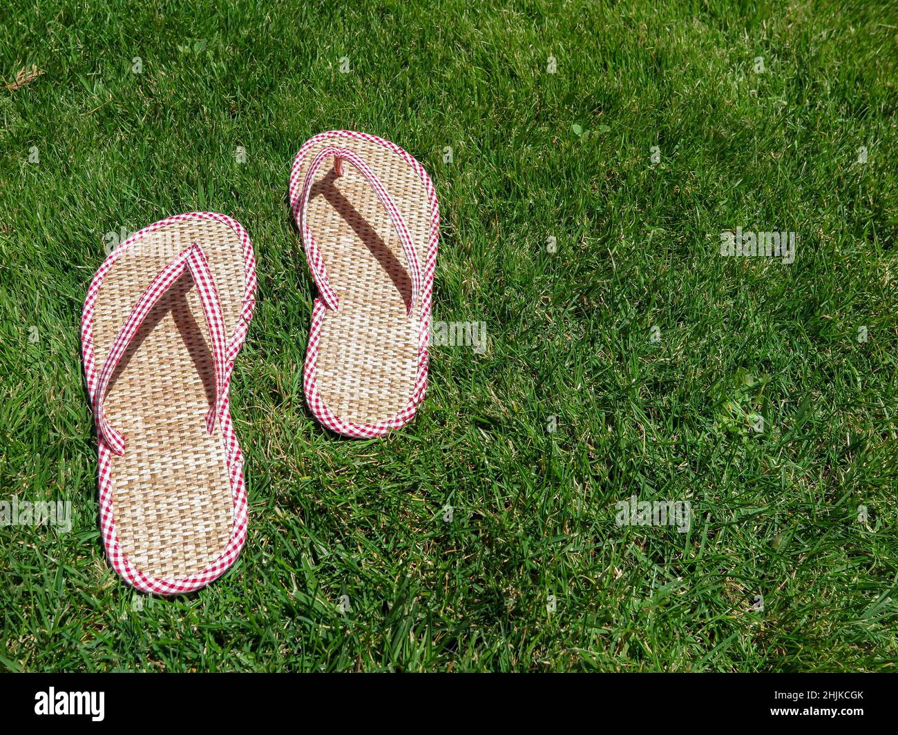 pair of esparto flip flops with red and white checkered border on the ...