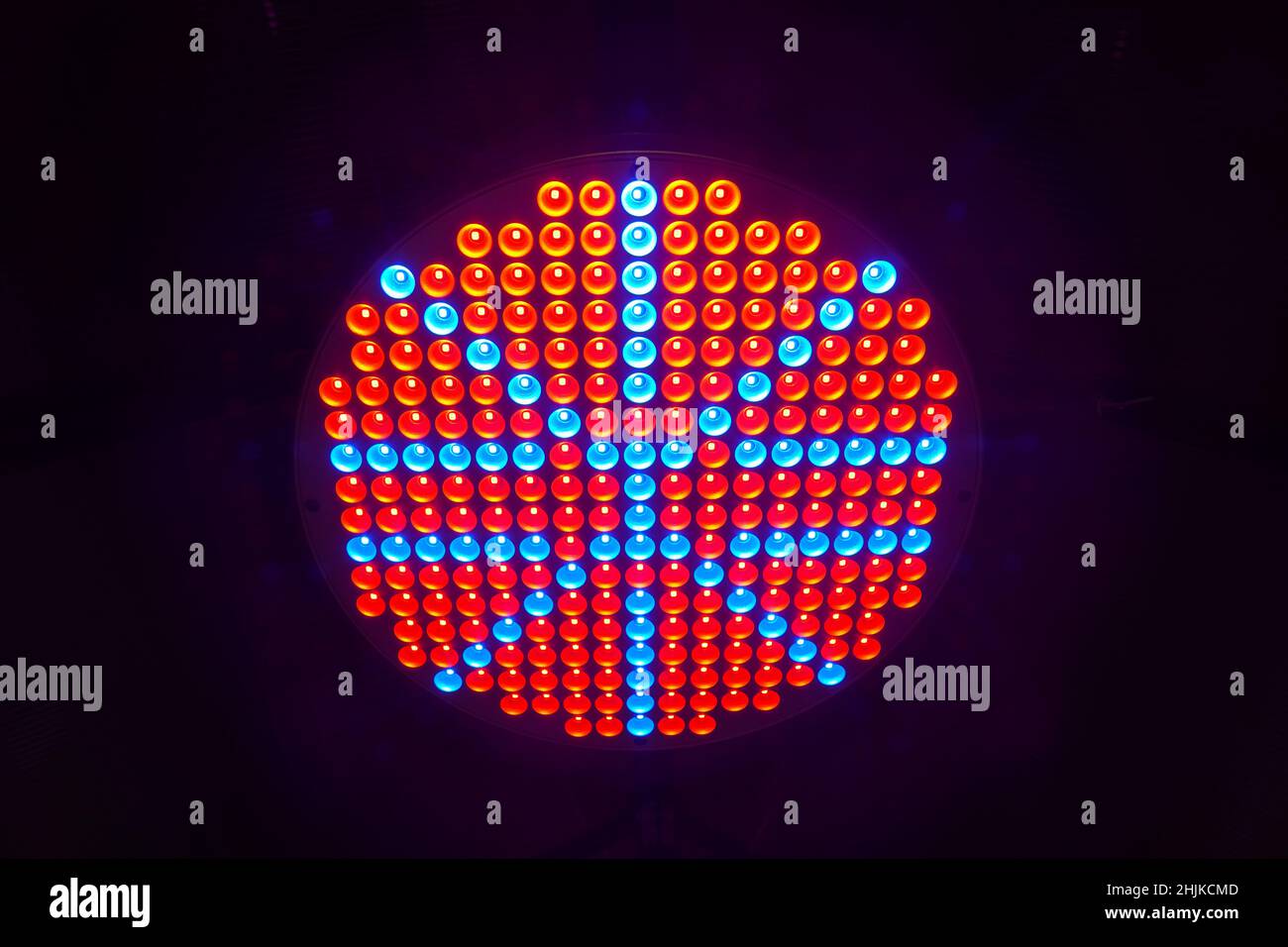 Led grow lamp house plant hi-res stock photography and images - Alamy