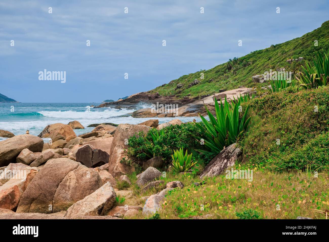 Tropical coastline with beach and clear ocean with waves in Brazil ...