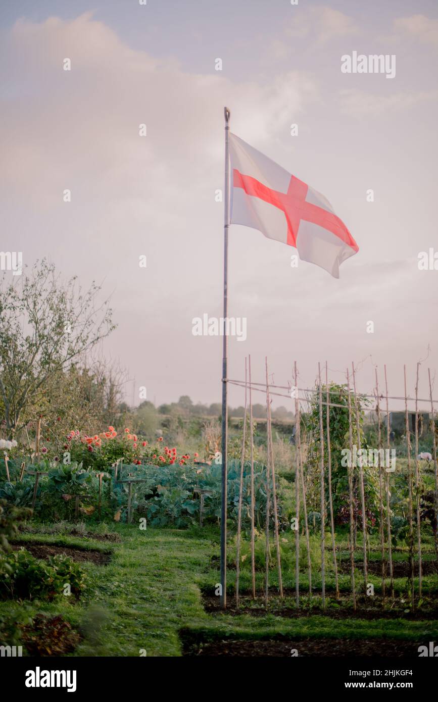 Vertical shot of the St. George's flag waving in a park in the UK Stock Photo - Alamy