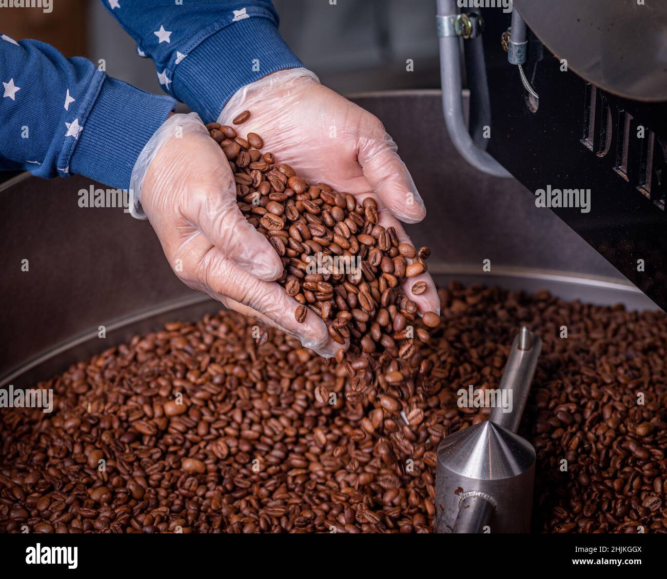 Closeup shot of hands processing coffee beans wearing transparent ... Closeup shot of hands processing coffee beans wearing transparent ...