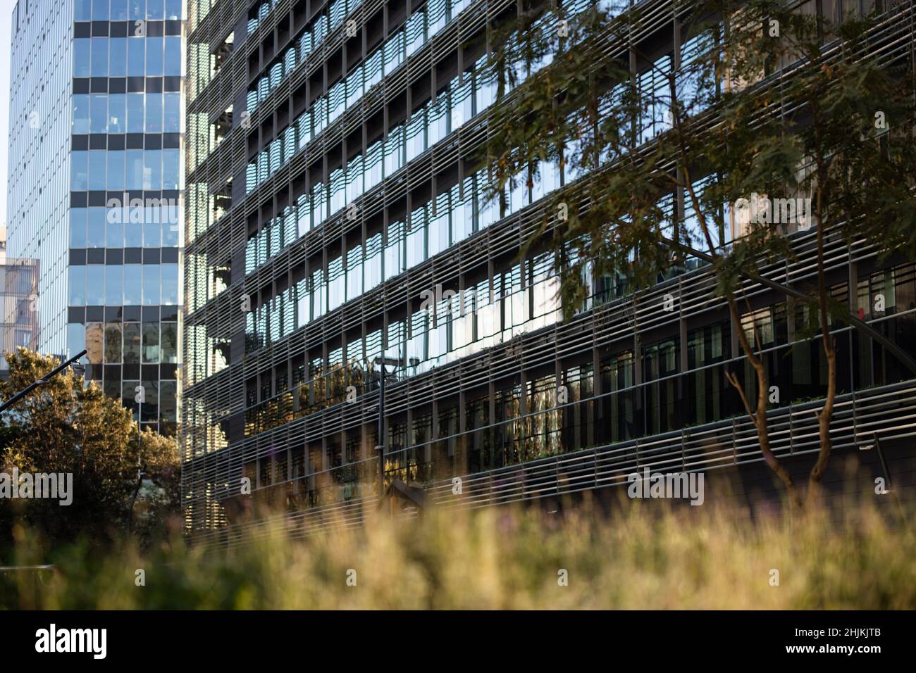 Office building landscape Stock Photo - Alamy