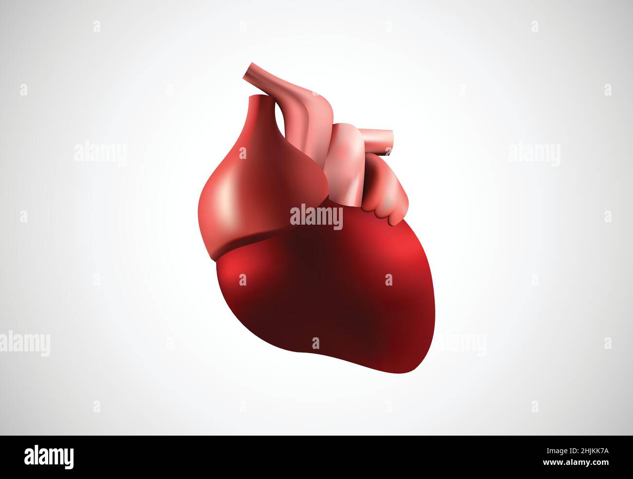 3d realistic human heart vector illustration Stock Vector Image & Art ...