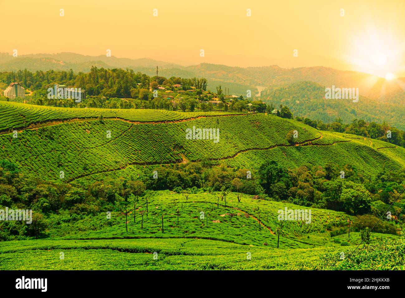 Green landscape india hi-res stock photography and images - Alamy