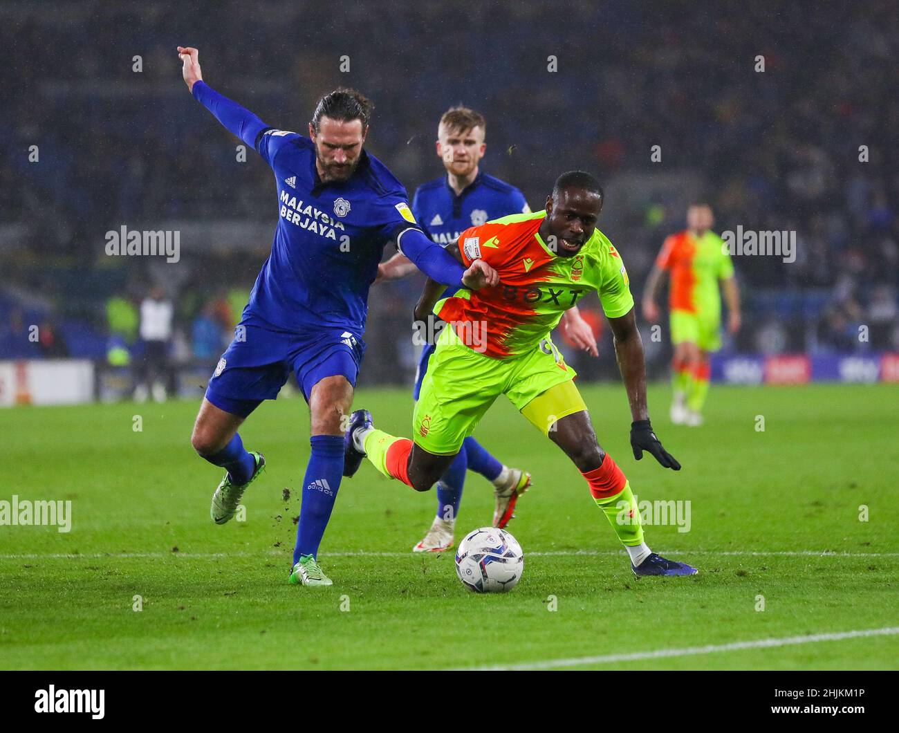 Keinan davis forest hi-res stock photography and images - Alamy