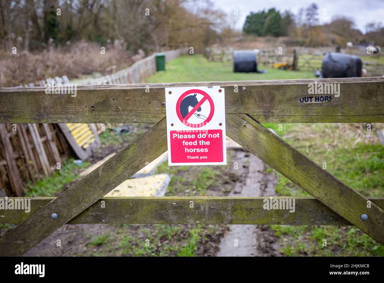 Close and selective focus on a Do Not Feed The Horses sign on the ...