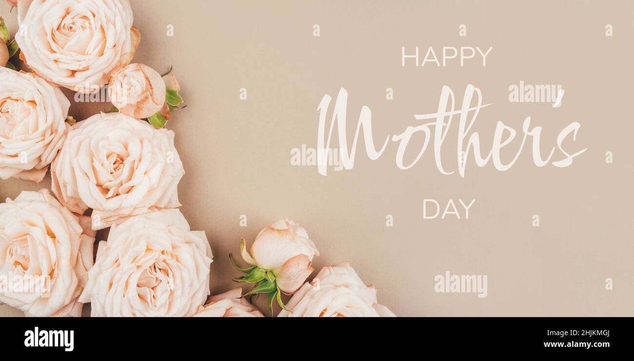 Spring background. Rose flowers on a beige background Stock Photo - Alamy