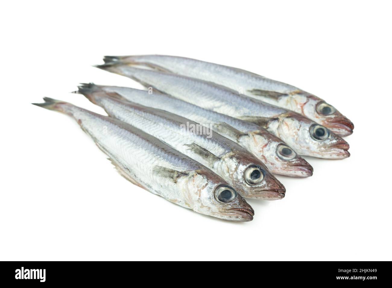 Fresh blue whiting on a white background. Fresh fish. Copy space. Five ...