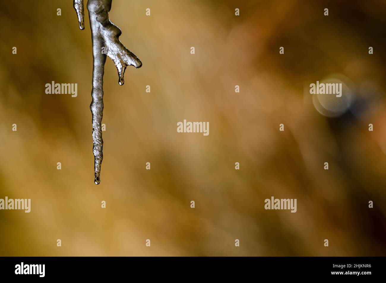 Water dripping from an object is frozen by frost Stock Photo - Alamy