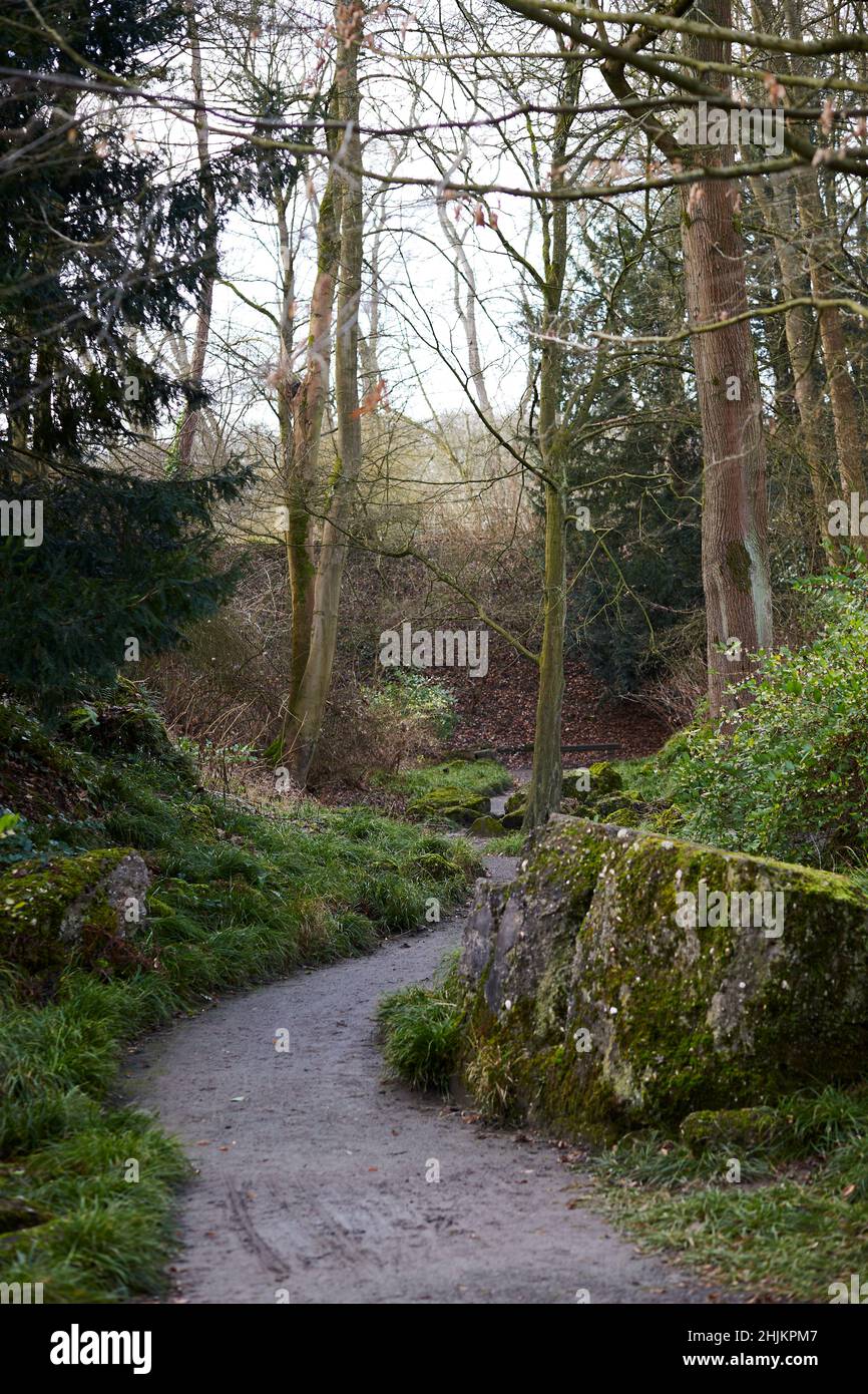 path in a park trough grass and trees Stock Photo - Alamy
