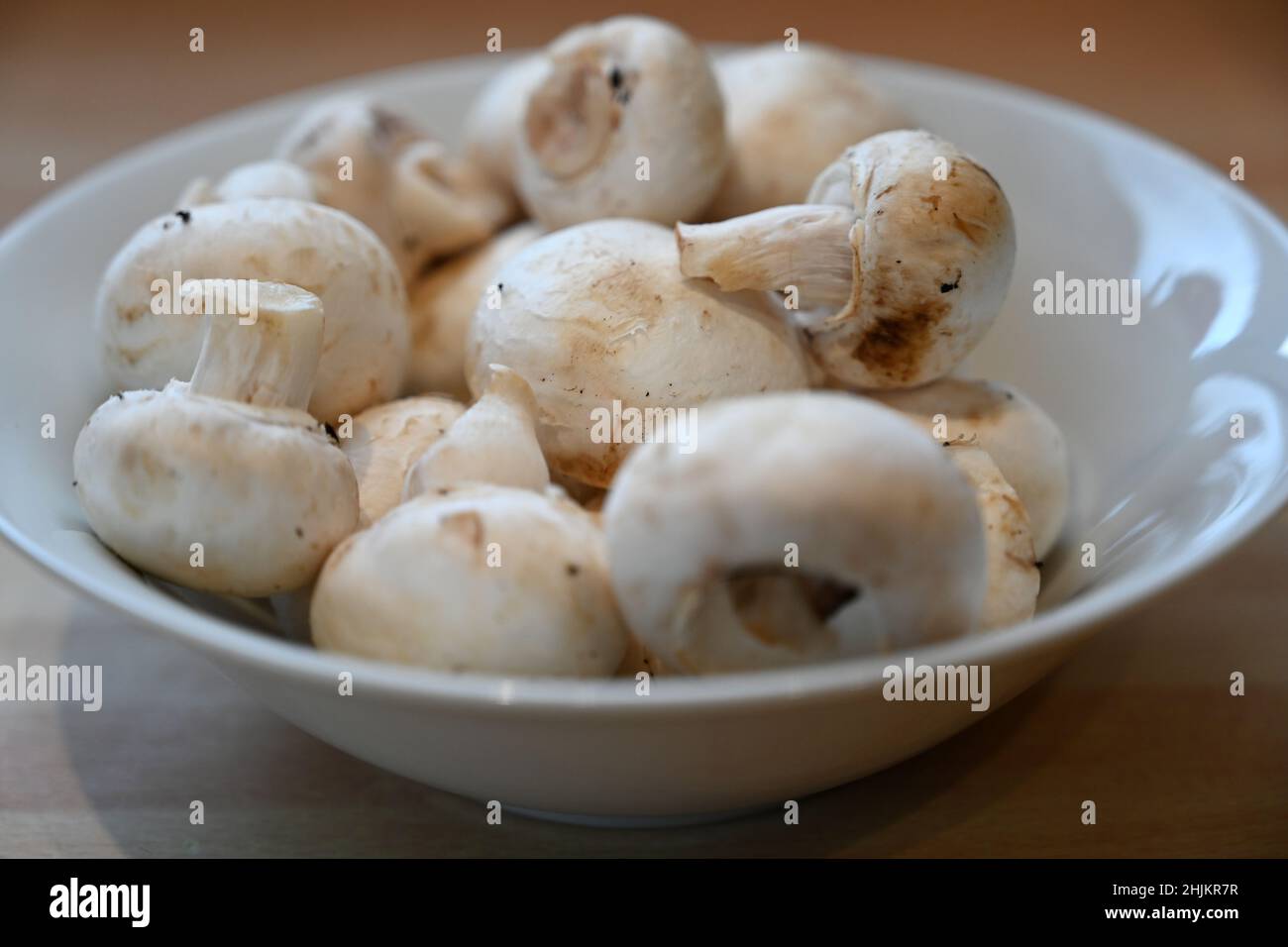 Button mushrooms soil hi-res stock photography and images - Alamy