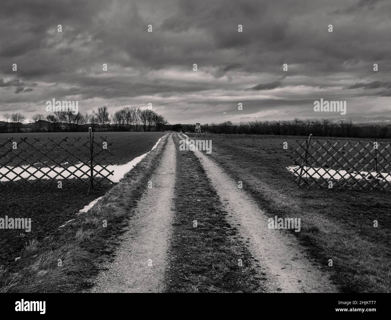 Track or Path Leading Through Cold and Empty Winter Fields in the ...