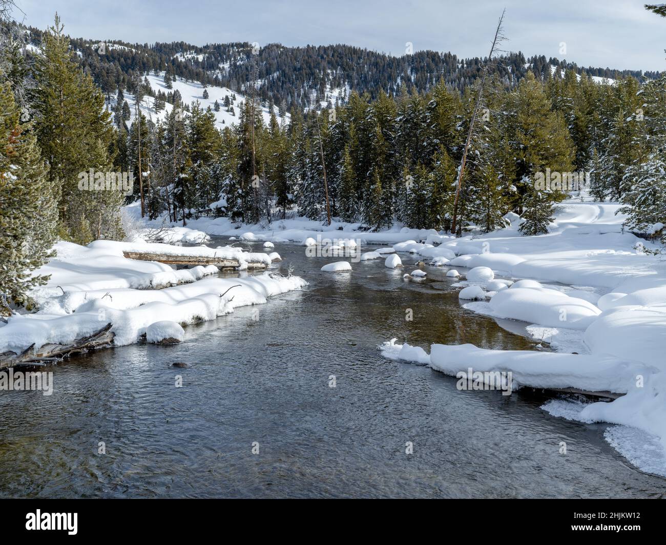 Wild Idaho river in winter with snow covered rocks and logs Stock Photo ...