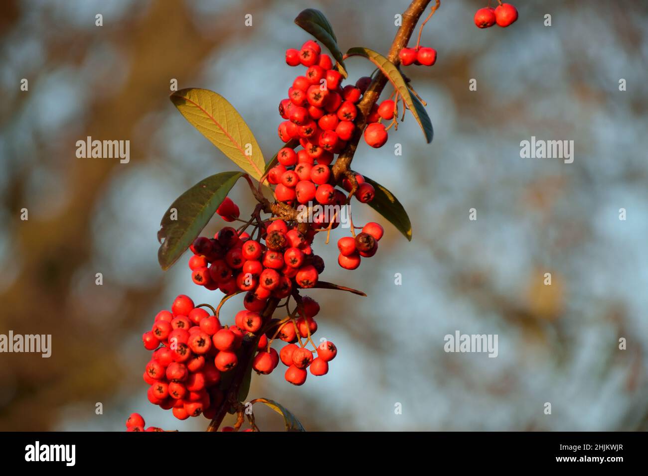 Royal victoria gardens woolwich hi-res stock photography and images - Alamy