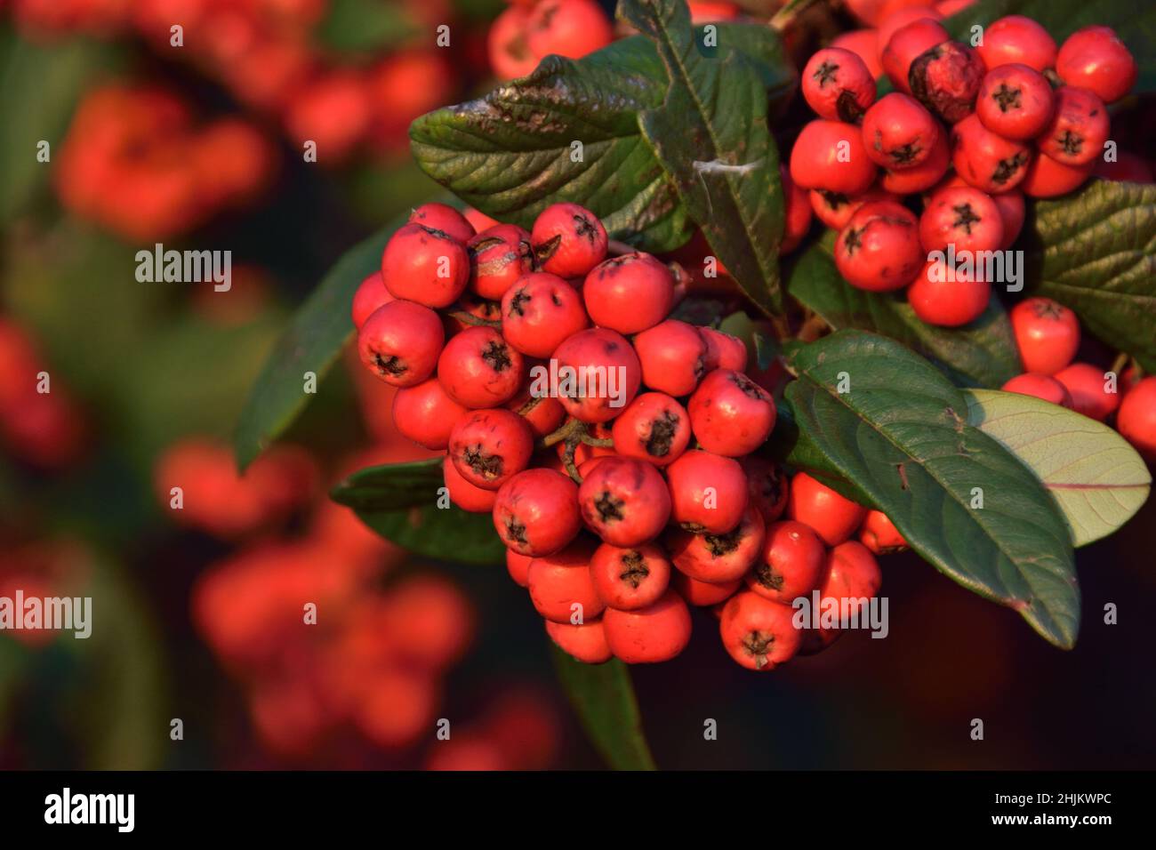 Royal victoria gardens woolwich hi-res stock photography and images - Alamy