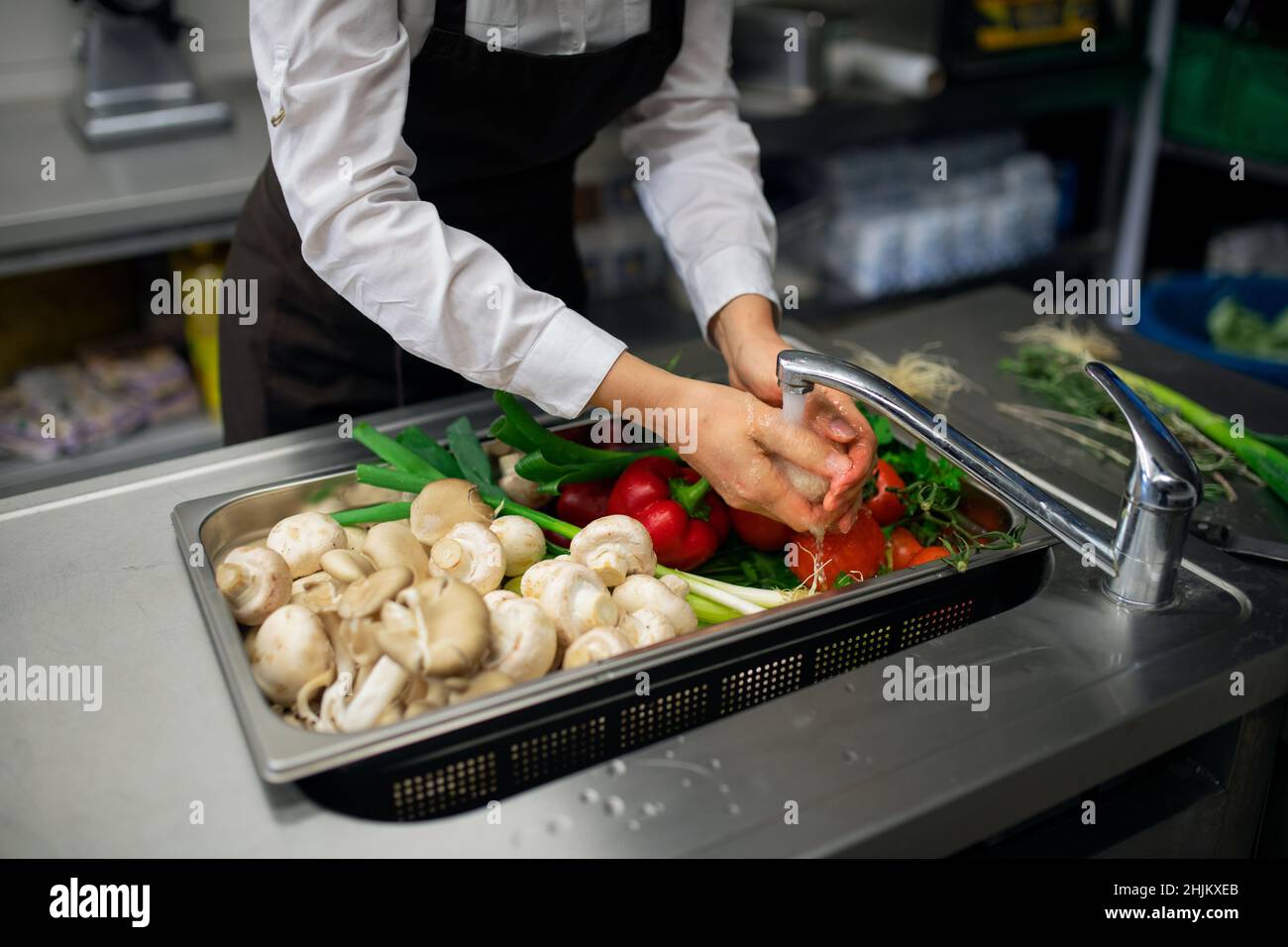 Close-up of cook washing vegetables in sink in commercial kitchen Stock ...