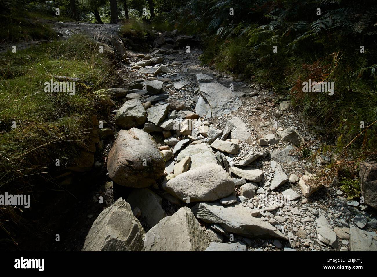 Dried river stream bed hi-res stock photography and images - Alamy