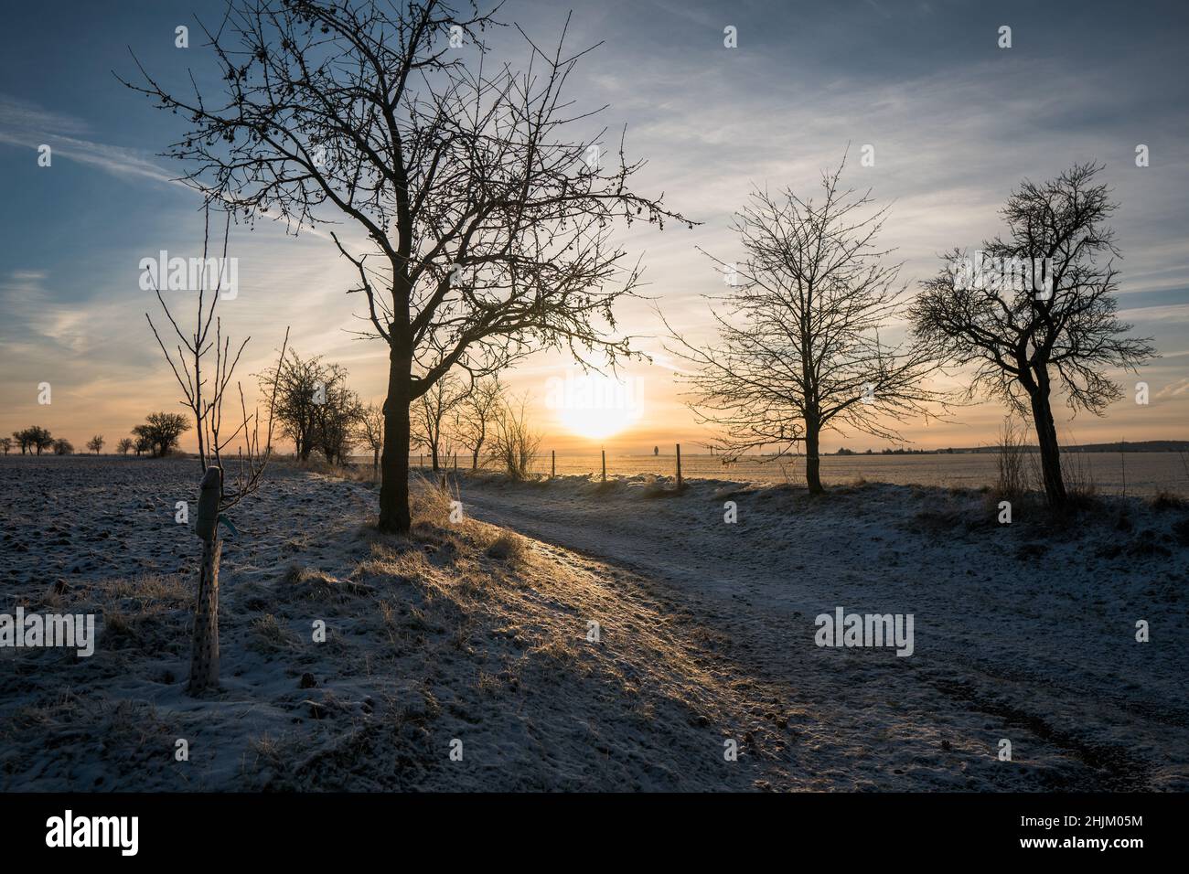 Beautiful winter sunset with trees in the snow Stock Photo - Alamy