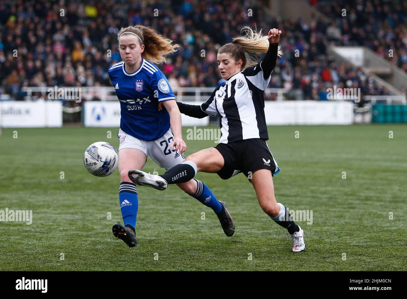 Kacie elson hi-res stock photography and images - Alamy