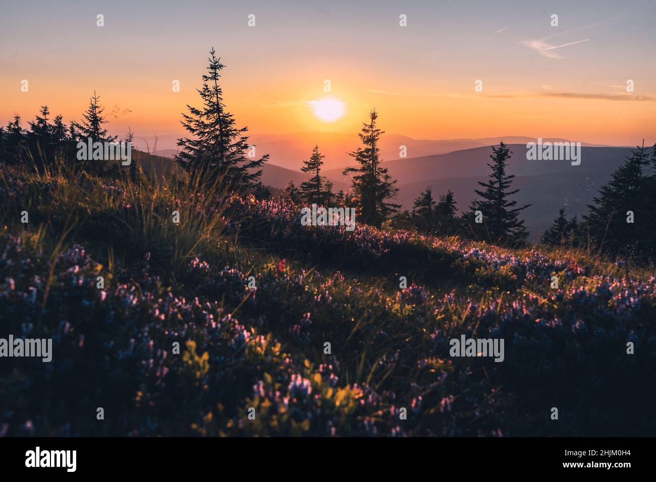 Peace sun hi-res stock photography and images - Alamy