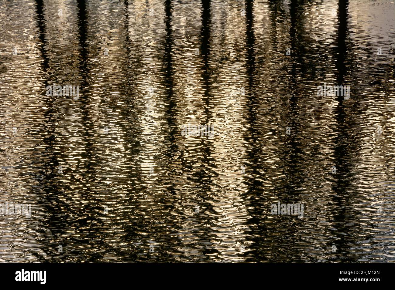 Reflection of trees on the surface of rippled water Stock Photo - Alamy