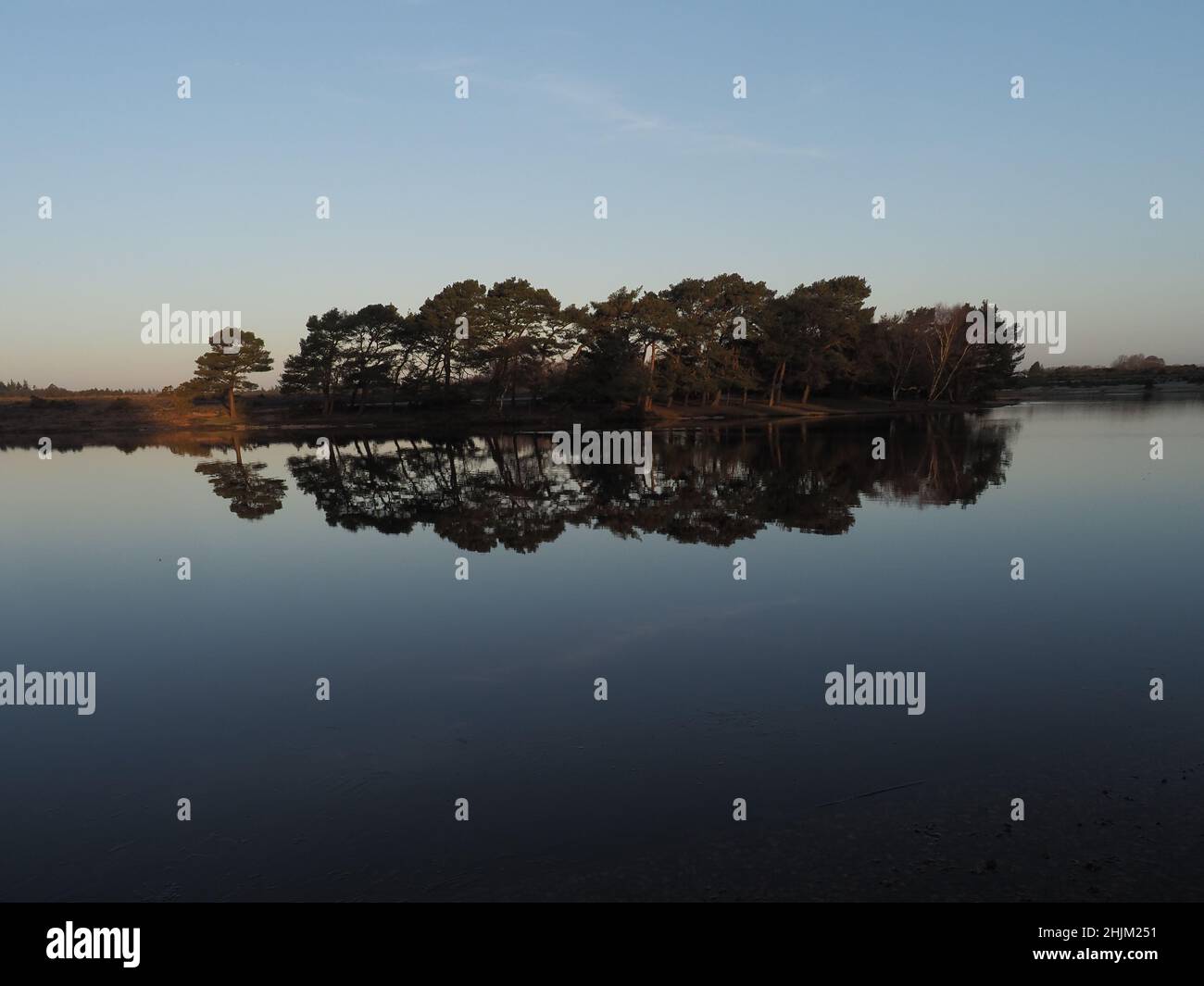 Reflection of trees at Hatchet Pond at Dawn in the New forest Stock ...