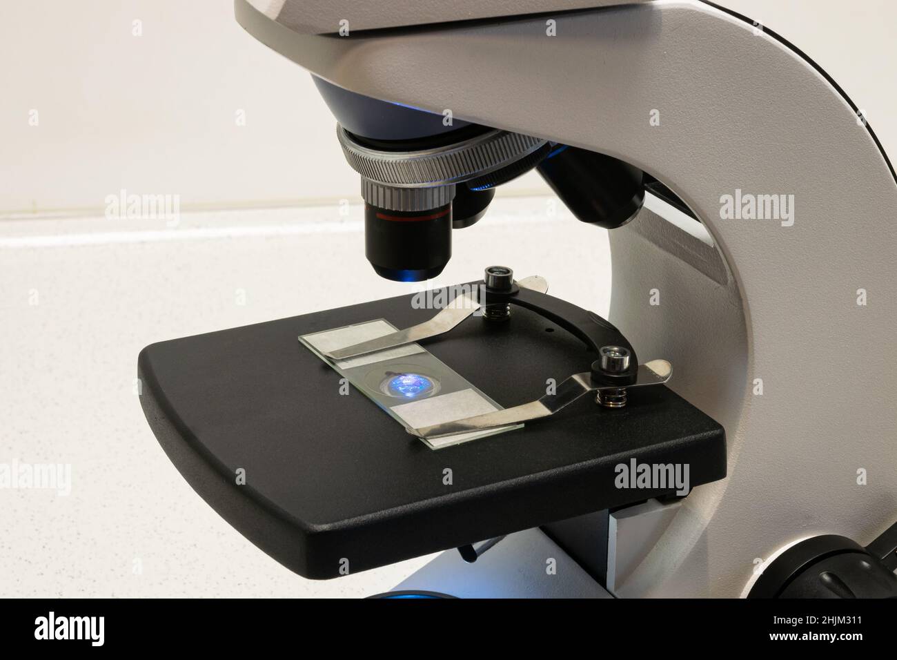 a sample preparation lies under the eyepiece of a microscope for ...
