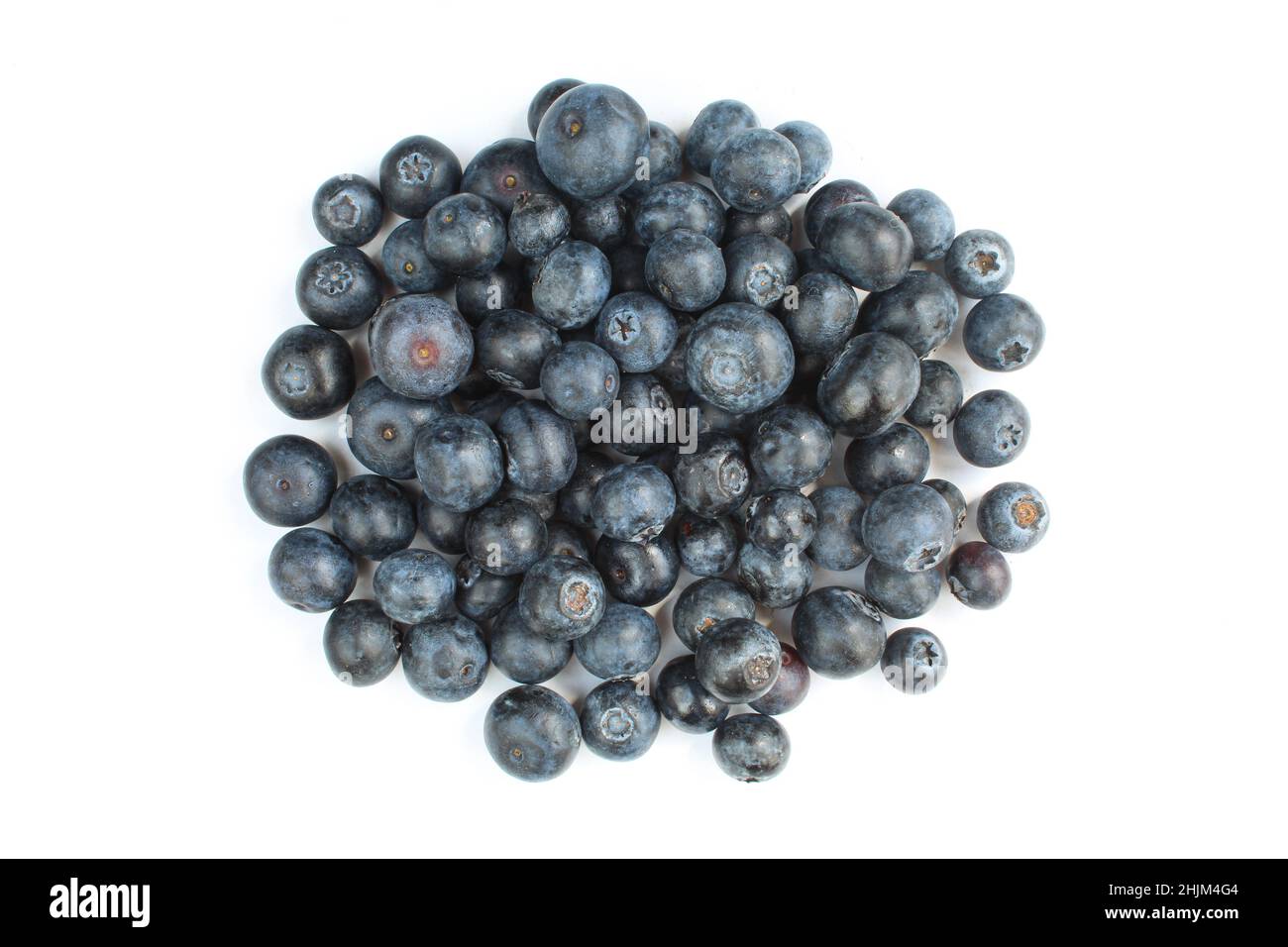 Pile of blueberries isolated on white abckground. Delicious wild ...