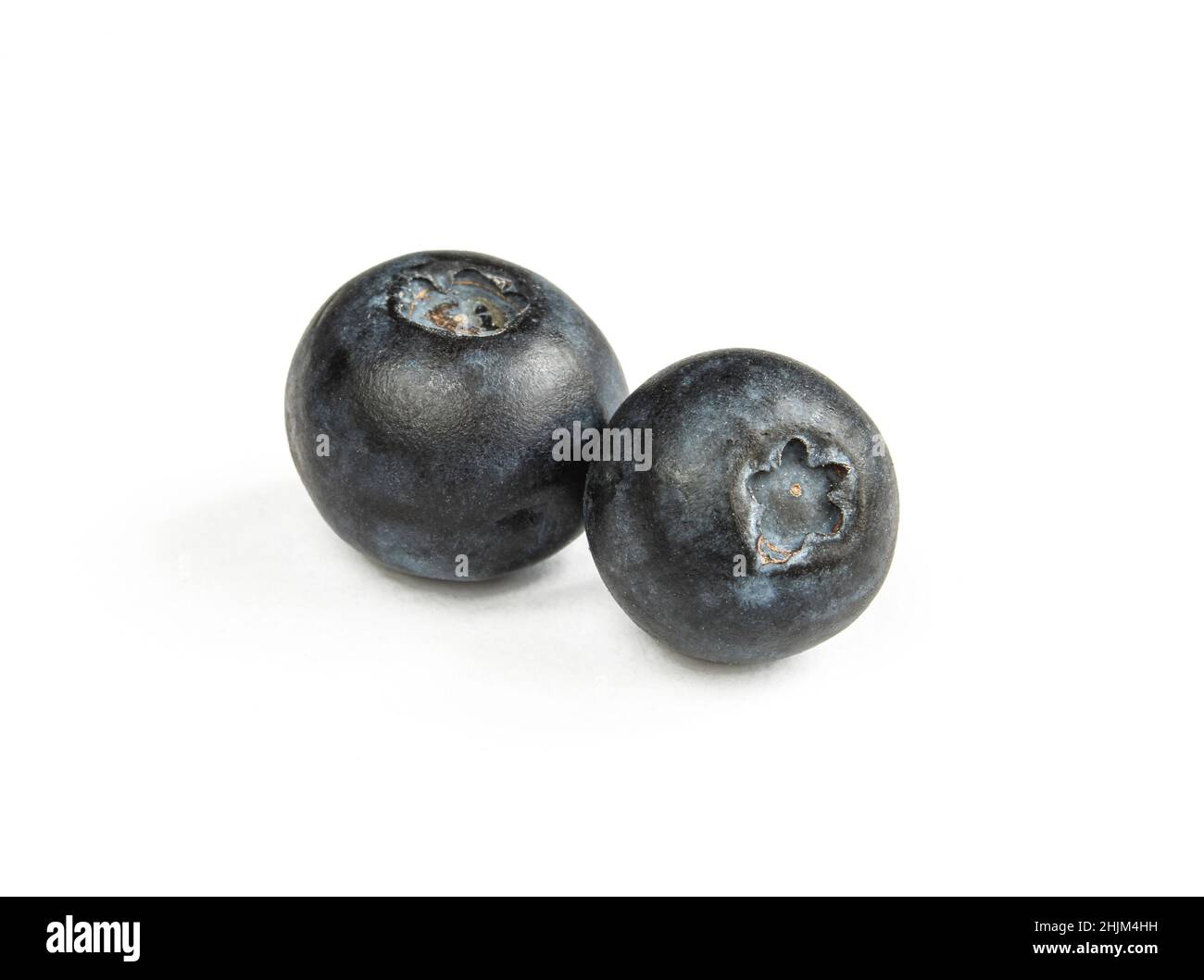Two blueberries isolated on white background. Close-up Stock Photo - Alamy