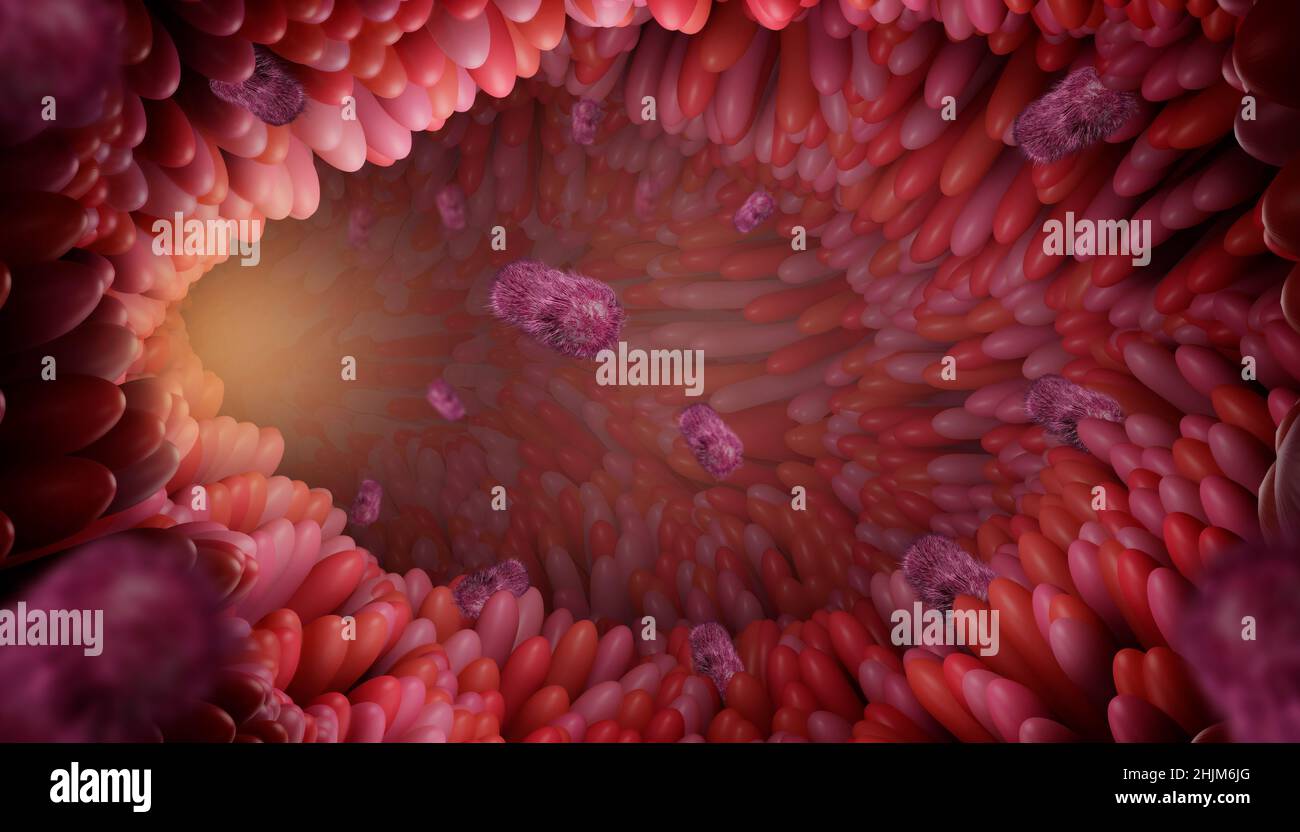 Bacterial flora hi-res stock photography and images - Alamy