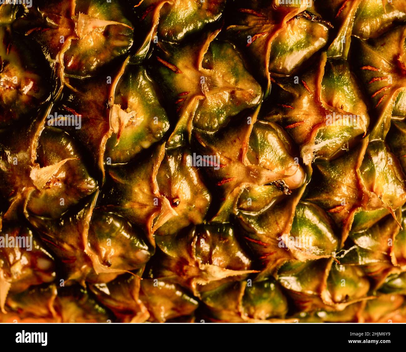 Natural patterns and textures of Pineapple (Ananas comosus) skin in ...