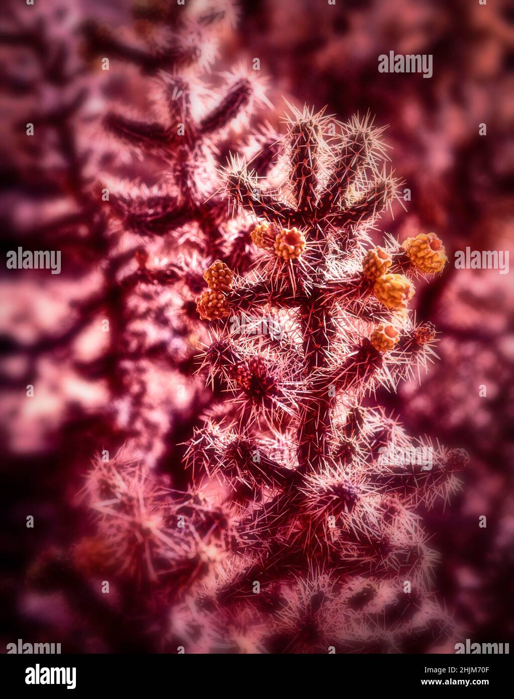 Choas, abstract patterns and textures in nature and the environment ...