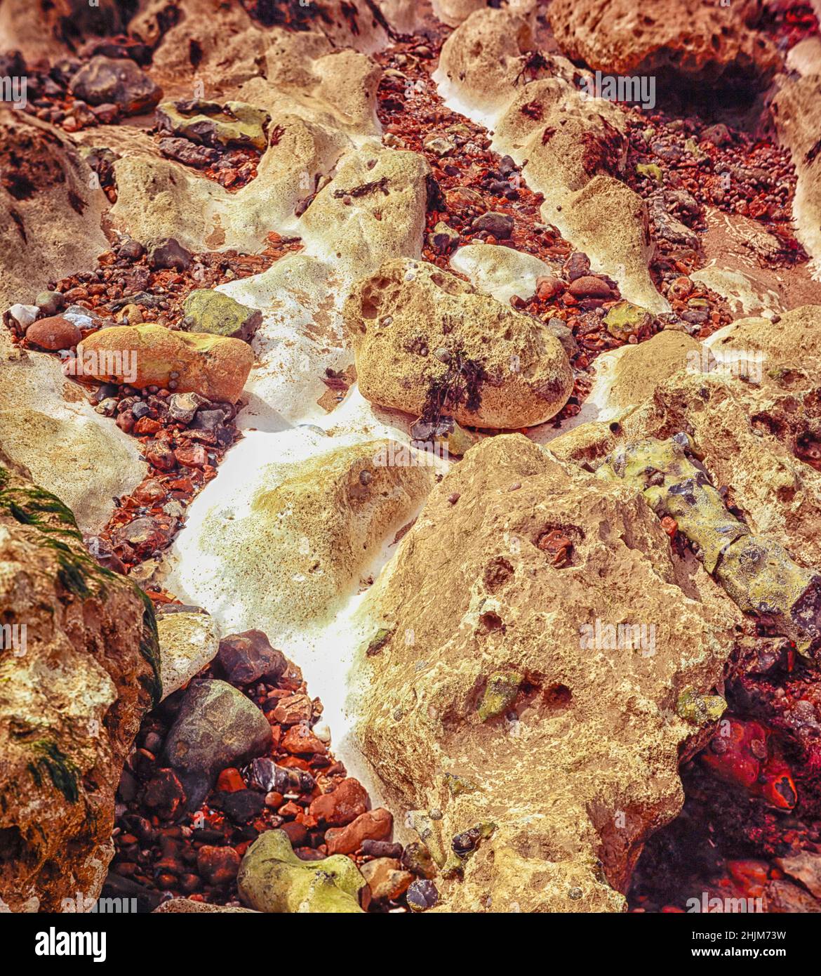Rock pooling birling gap hi-res stock photography and images - Alamy