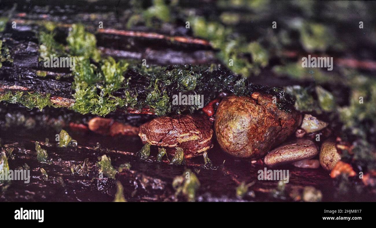 Choas, abstract patterns and textures in nature and the environment ...