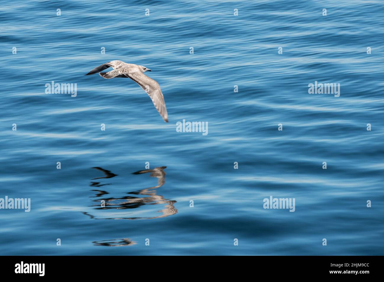 Small waves hi-res stock photography and images - Alamy