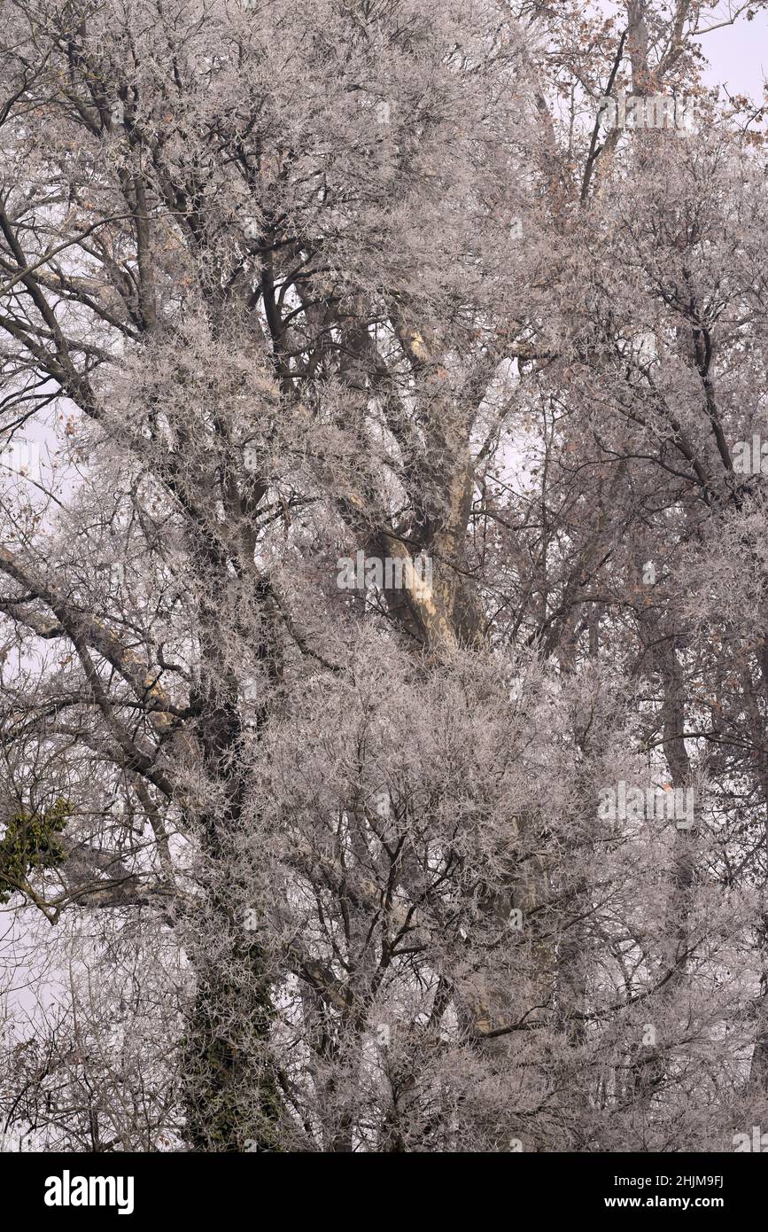 winter mood and colors Stock Photo - Alamy