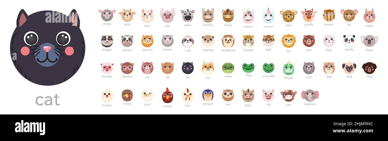Round Animals Set Cute portraits with names cartoon illustration flat ...