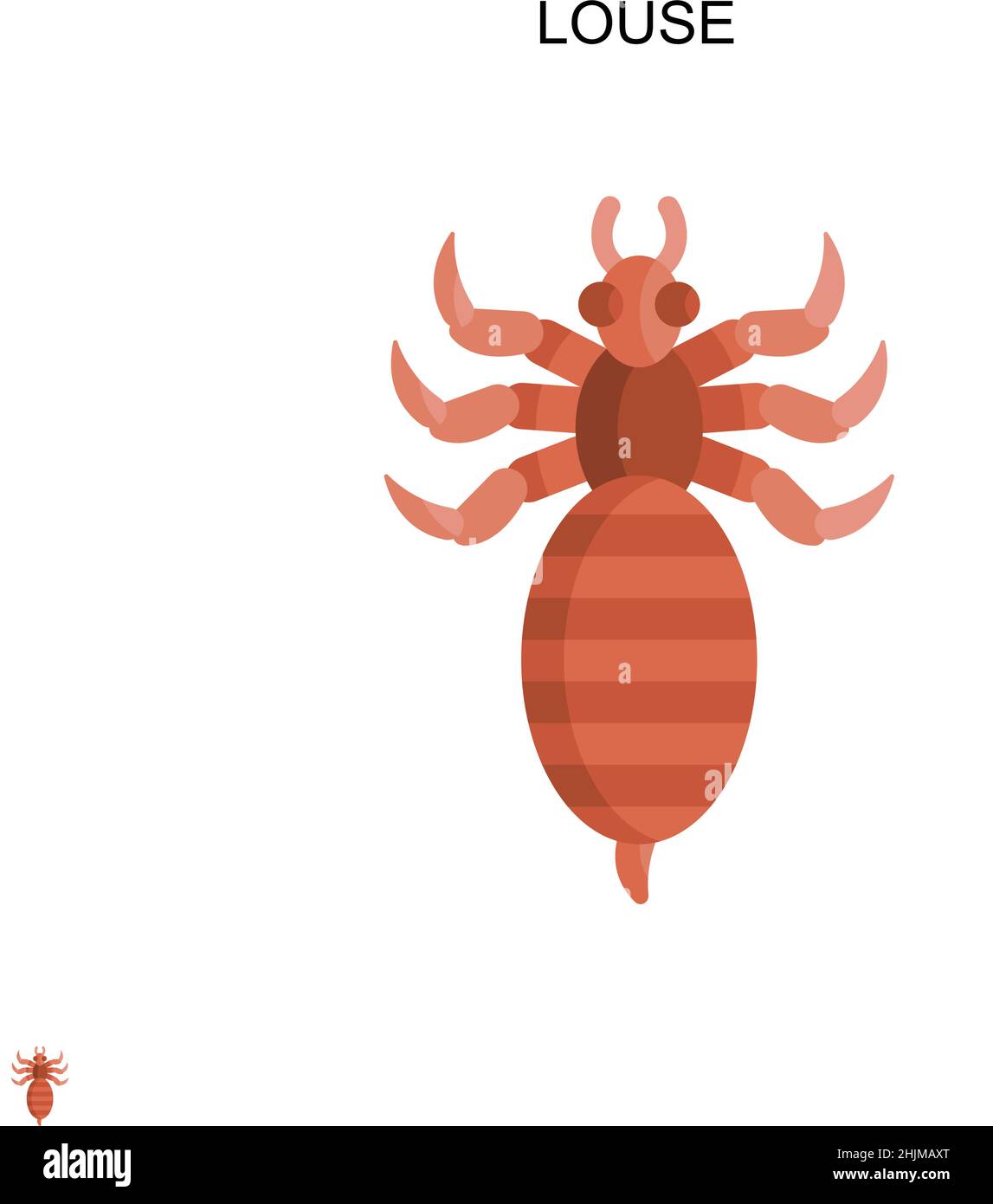 Water hog louse hi-res stock photography and images - Alamy