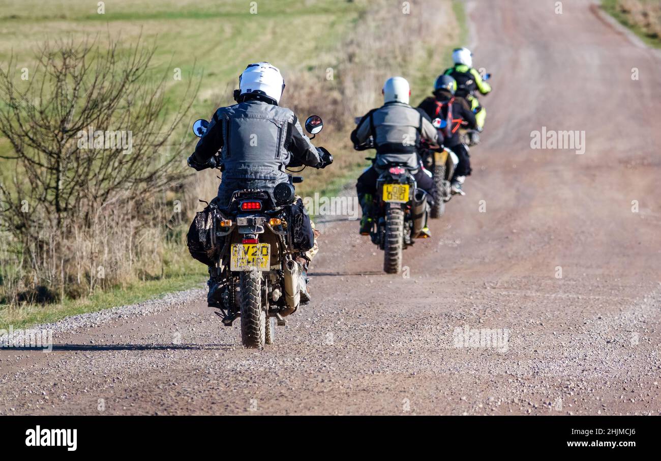 a group of motor cyclists (bikers) riding their off-road motorbikes ...