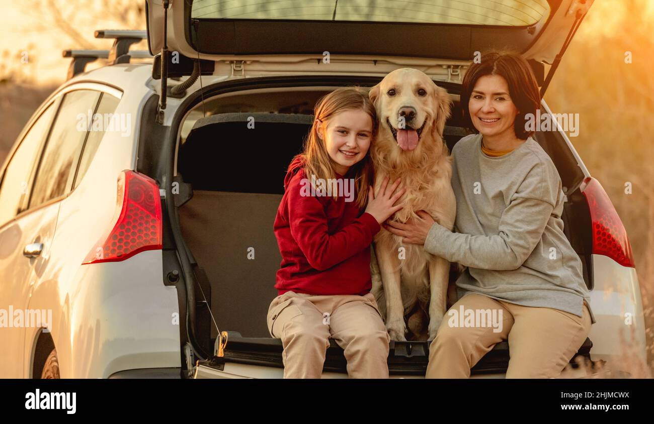 Golden retriever in car hi-res stock photography and images - Alamy