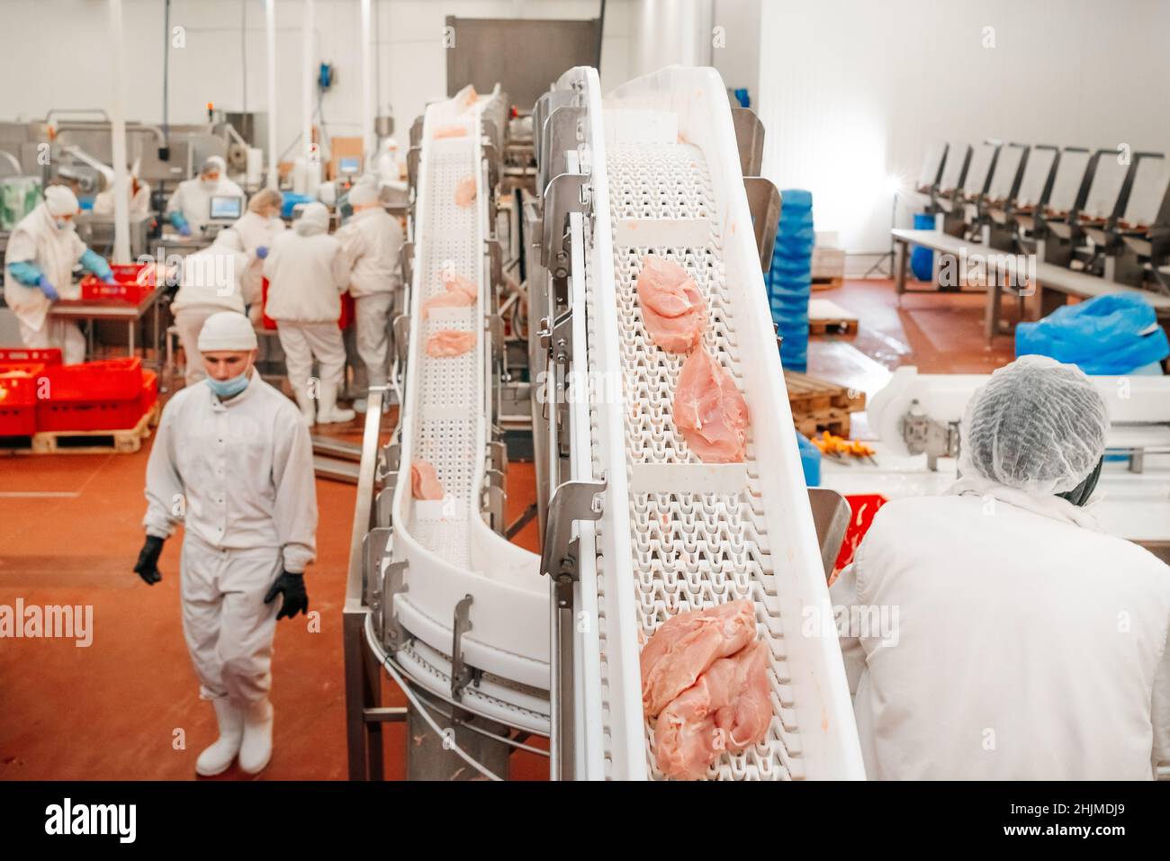 Chicken fillet production line . Factory for the production of food ...