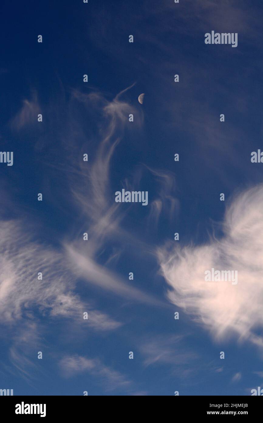 A last-quarter moon, sometimes called a half moon, shares the sky with ...