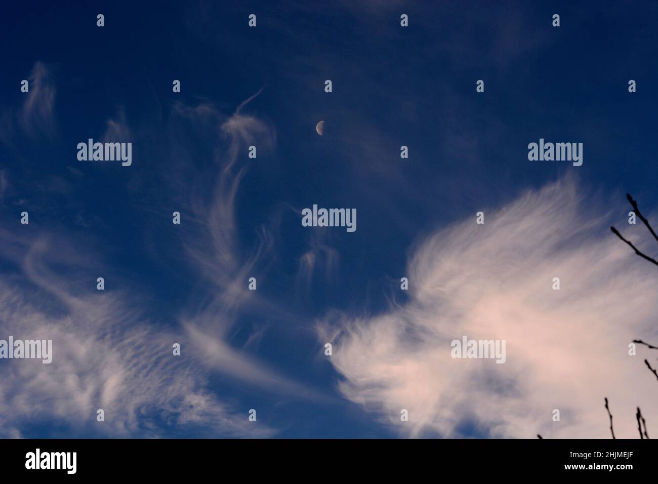 A last-quarter moon, sometimes called a half moon, shares the sky with ...