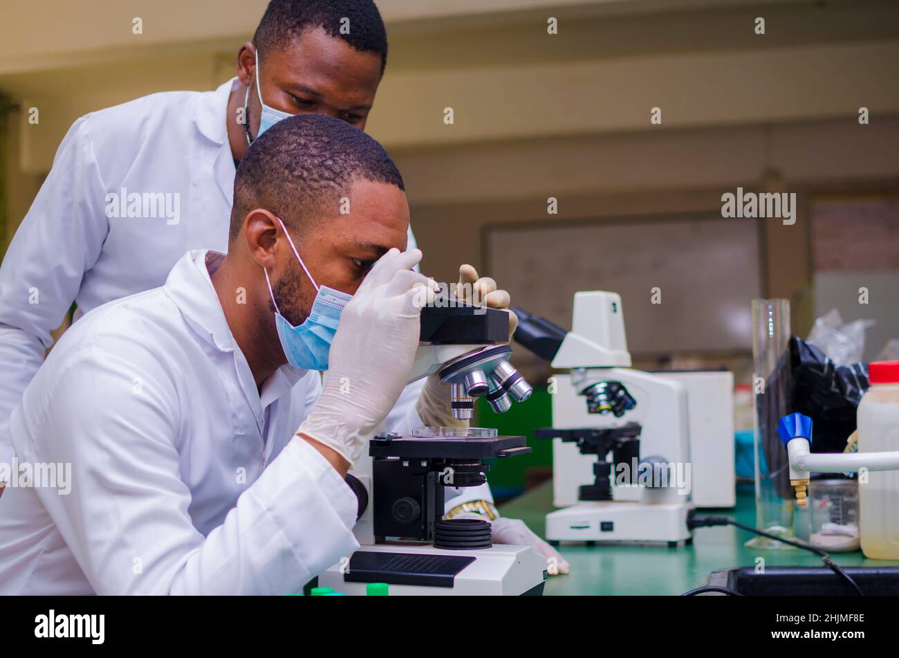 Scientists studying a virus ,looking through microscope Stock Photo - Alamy